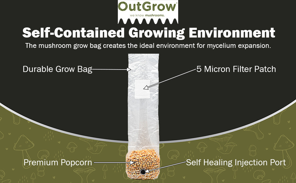 6-Pack Sterilized Popcorn Grain Spawn – 1 lb Bags with Injection Ports ...