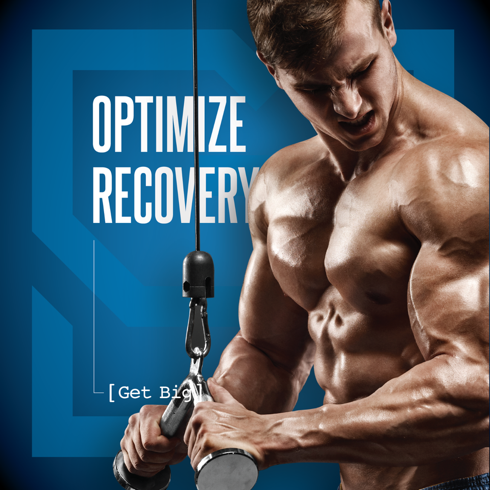 Ultra Karbs Carbohydrate Matrix for Energy, Performance & Recovery - 40 ...