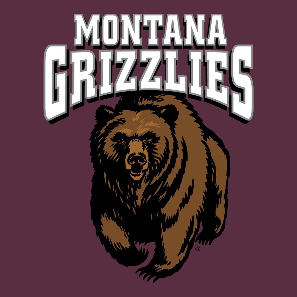 Montana Grizzlies Arch Logo Long Sleeve T-Shirt - Maroon | eBay