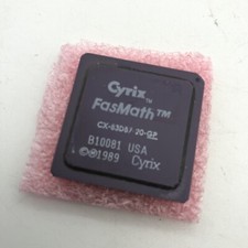 Cyrix FasMath CX-83D87-40-GP FPU für Sammler 386 add on for sale online ...