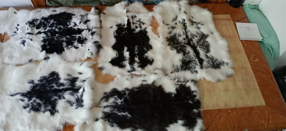 5PCS Genuine Natural Tanned Rabbit Fur Skin Pelt Hide Can be Used DIY ...