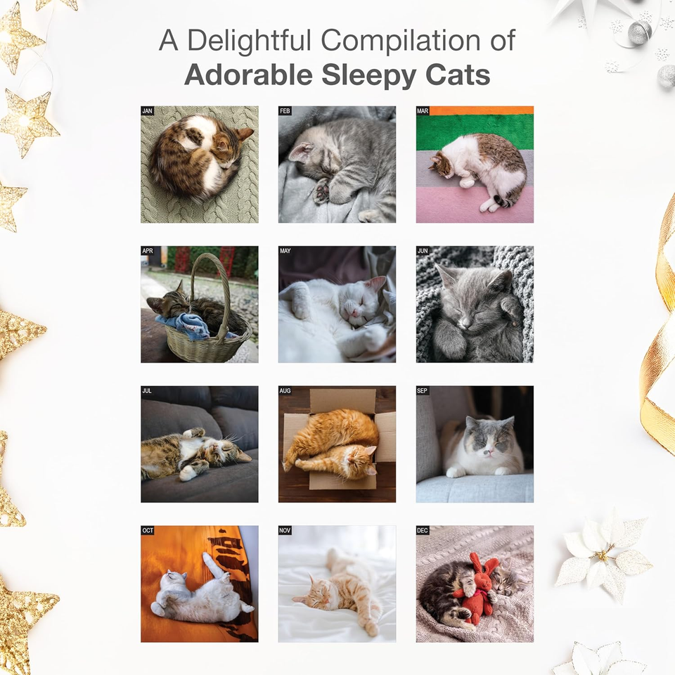 Select - Cat Naps 2026 Wall Calendar 12 Month | 12" X 24" Open | Thick ...