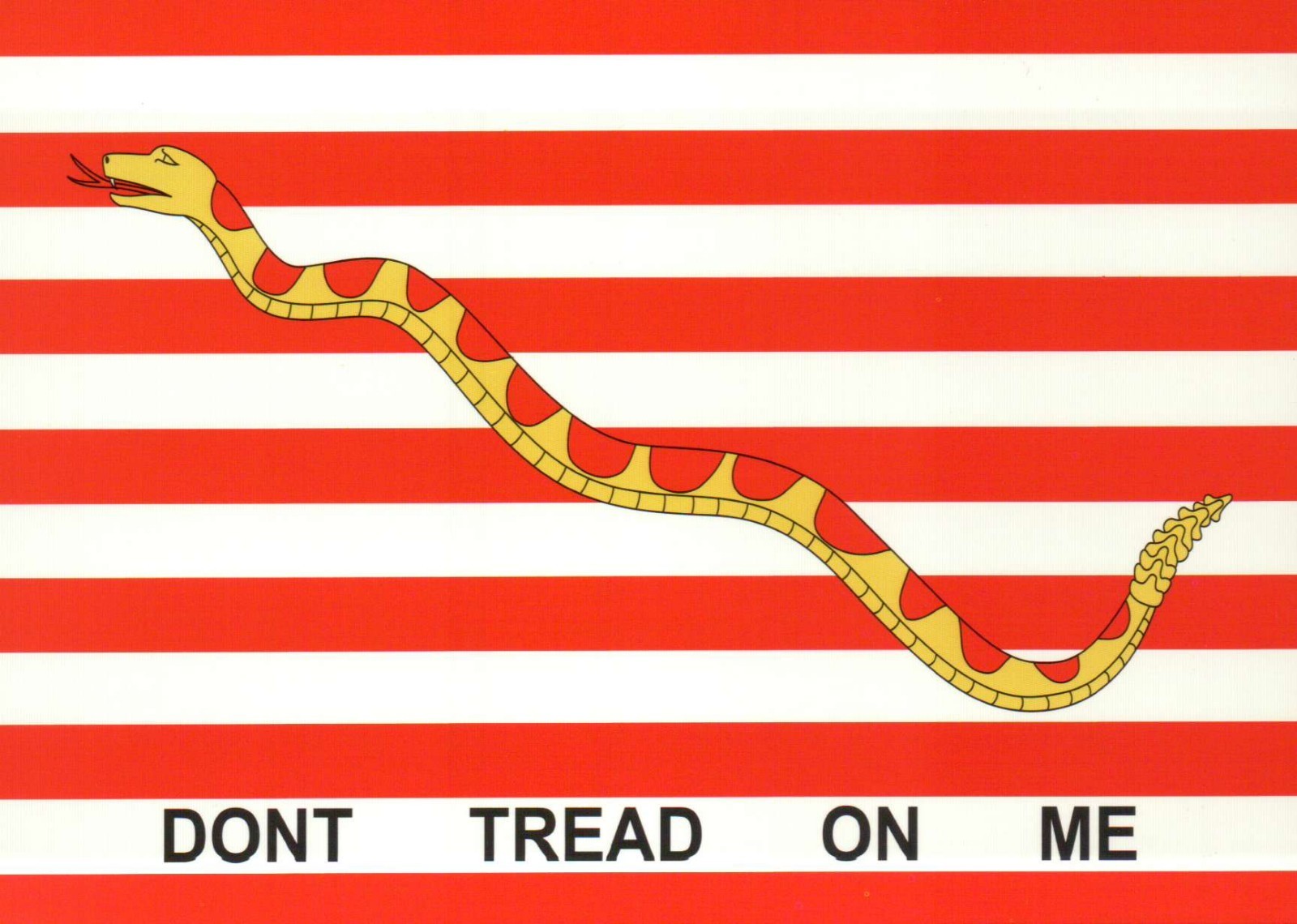 Don't Tread On Me, First Navy Jack, American Revolution, Rattlesnake ...