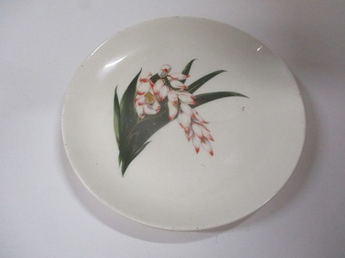Santa Anita Ware Flowers of Hawaii SHELL GINGER 8" Plate | eBay