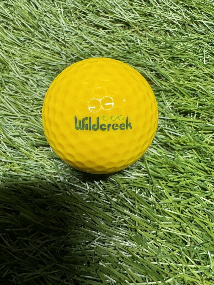Golf Course Logo Collectors Golf Balls #3 | eBay