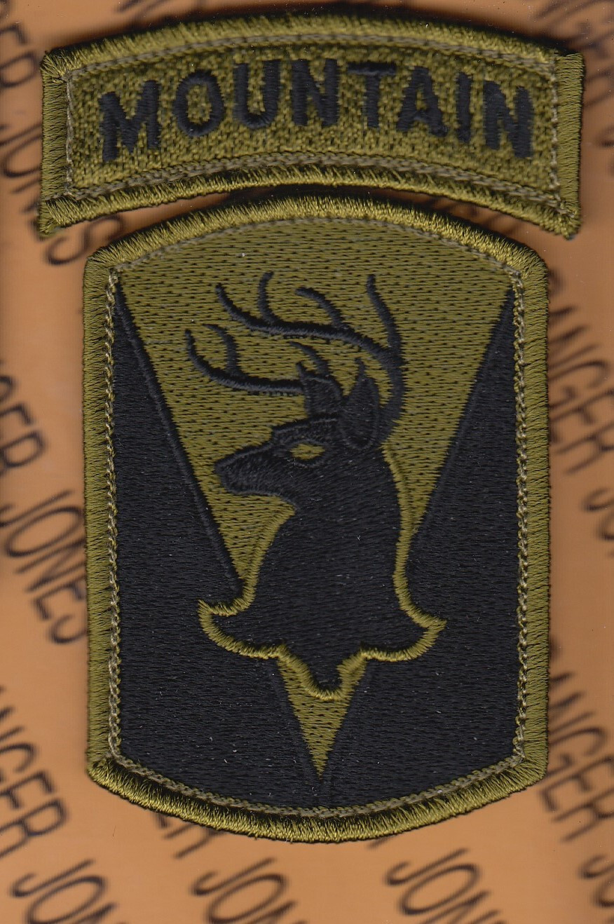 US Army 86th Infantry Regiment Mountain ODD OCP w/ HOOK ~4" patch tab ...
