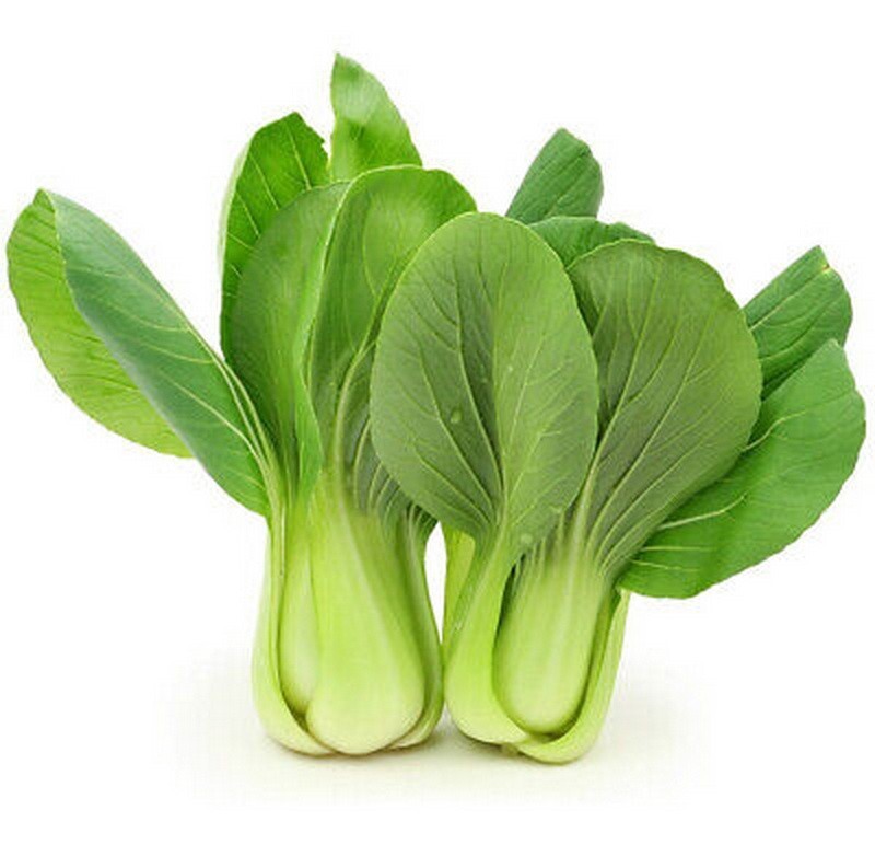 Little Shanghai Pak Choi Cabbage Seeds Bok Choy, NON-GMO, Heirloom, | eBay