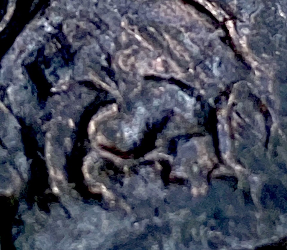 1641 Spanish Empire Coin Counterstamp Pirate Era Maravedis (see ...