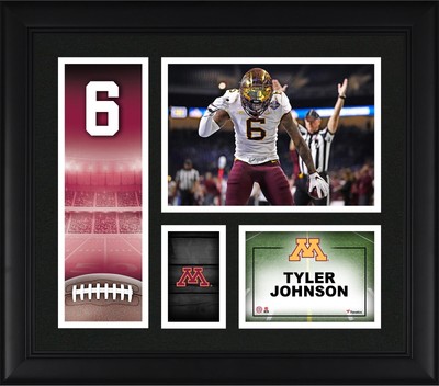 Tyler Johnson Minnesota Golden Gophers Framed 15" x 17" Player Core ...
