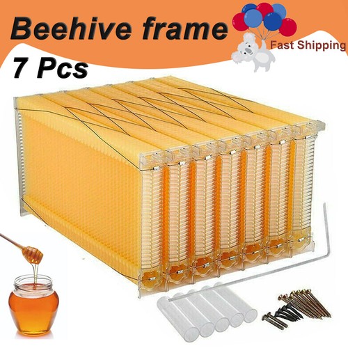 Upgraded 7pcs Flow Bee Comb Hive Frames For Wooden Beekeeping Beehive ...