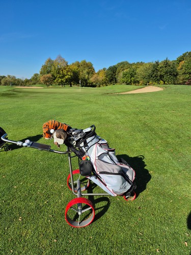 Jucad drive Titan Elektro Trolley mit Zubehör Erstbesitz | eBay.de