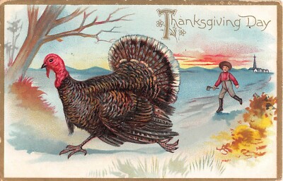 Boy With Axe Chasing A Turkey on 1908 Tuck Thanksgiving Postcard-Series ...