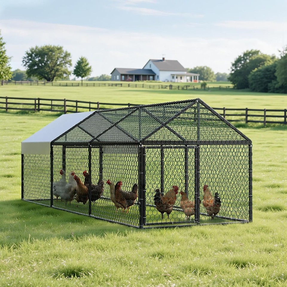 Small Metal Chicken Coop for 6-8 Chickens Waterproof Cover Open Doors ...