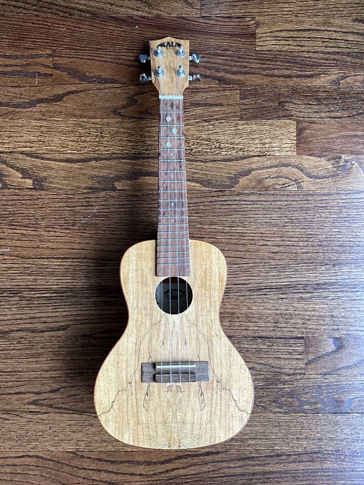 Kala KA- SMC Concert Ukulele Spalted Maple With Bag | eBay