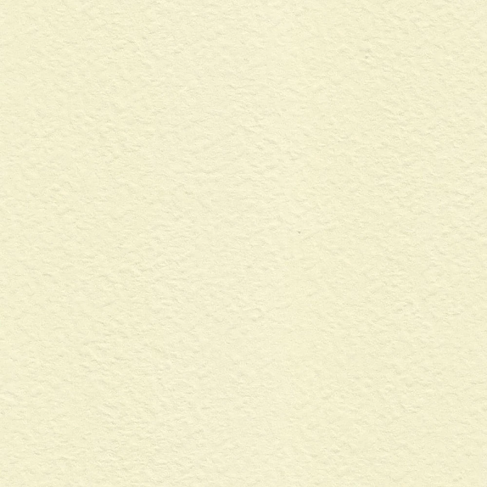 Ivory Paper Texture