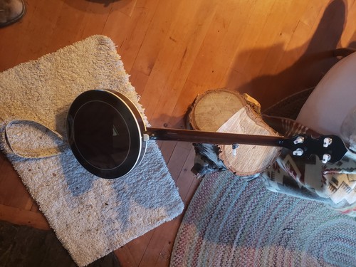 GOLD TONE BG250F right handed Banjo mint condition | eBay