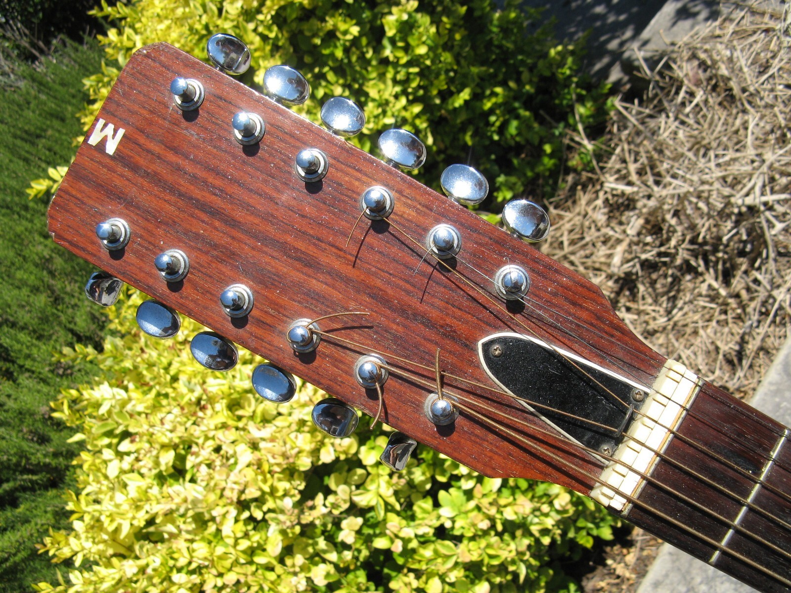 Vintage Tokai 160F Hummingbird 12 String Folk Acoustic Guitar | eBay