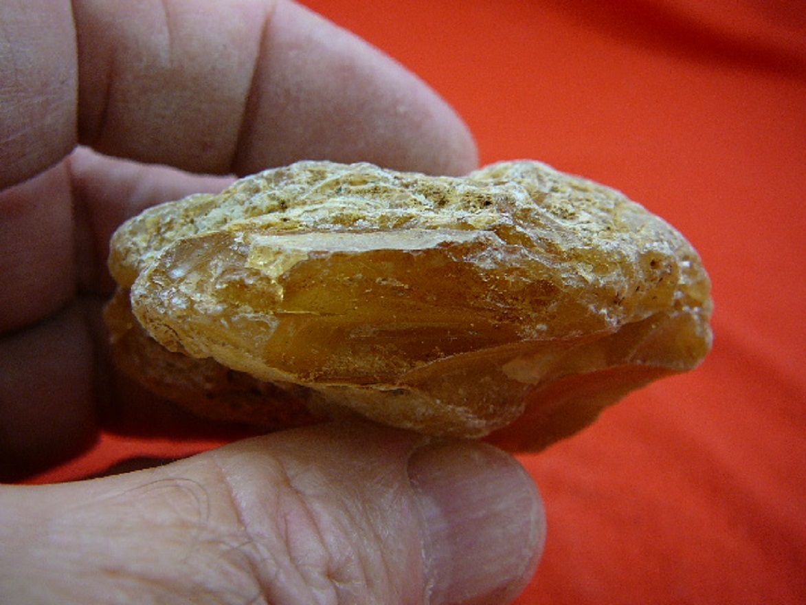 (k-3163) 35 g Rare Kauri tree Gum copal young Amber New Zealand Tane ...