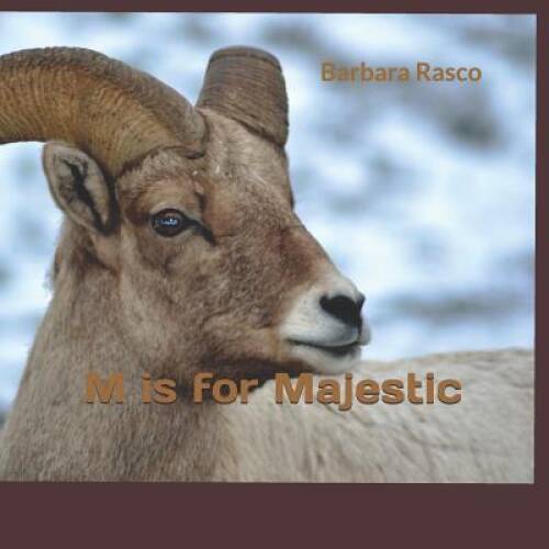 M is for Majestic - Paperback By Rasco, Barbara - GOOD 9781723974687 | eBay