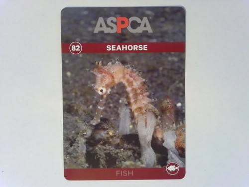 Seahorse #82 2016 ASPCA Pets & Creatures Trading Cards RSPCA LB7 | eBay