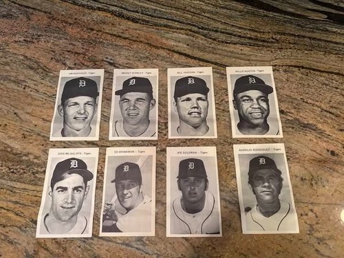 1971 Detroit Tiger Souvenir Photographs 11-5x7 Photos. Team Picture ...
