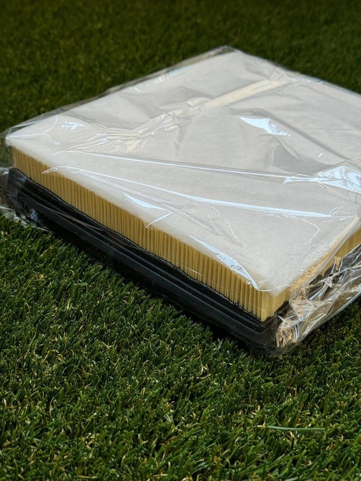 OEM TOYOTA TUNDRA 2022-23 & SEQUOIA 2023 AIR FILTER 17801-F4010 | eBay