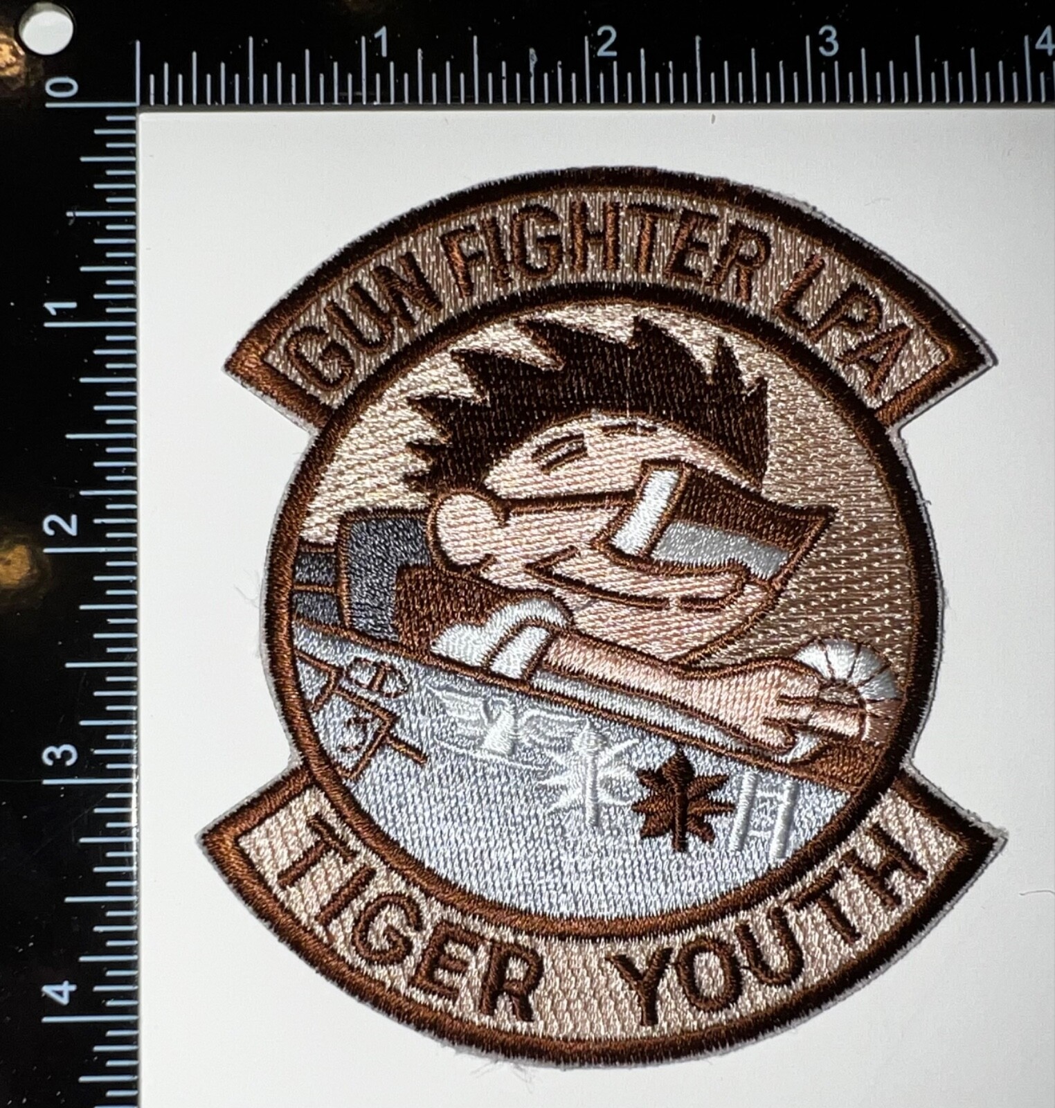 OIF OEF USAF 366th Fighter Wing F-15 Gunfighter LPA Tiger Youth Patch ...