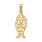 14k Yellow Gold Jesus Fish Pendant Ichthys Symbol Christian Faith Charm ...
