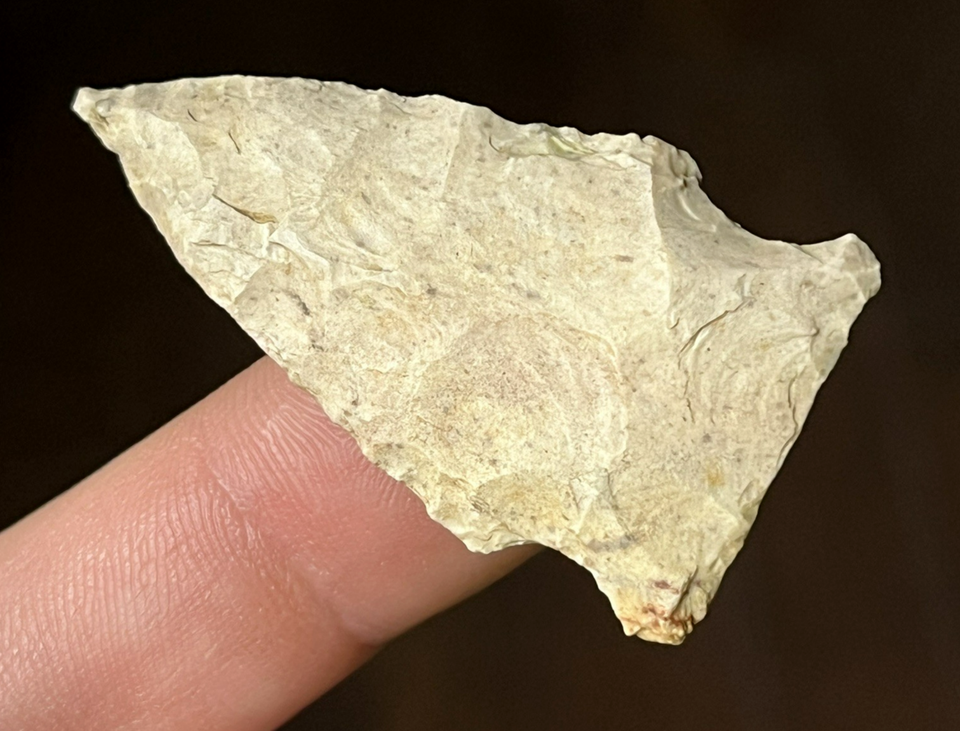 ARROWHEAD AUTHENTIC INDIAN ARTIFACT FLORIDA BOLEN PLAIN POINT B37 | eBay