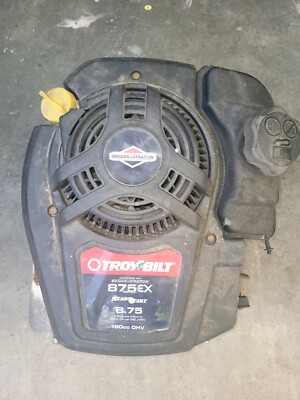 Briggs and Stratton 8.75 EX 190cc Vertical Engine 875ex OHV TROYBILT | eBay