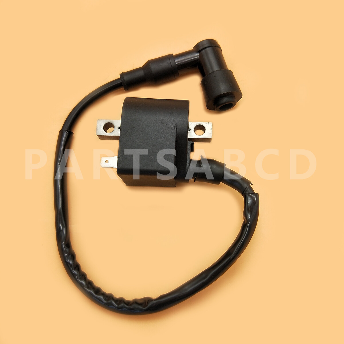 Partsabcd LT50 LT 50 QUADRUNNER 50 CDI Ignition Coil With CDI for ...
