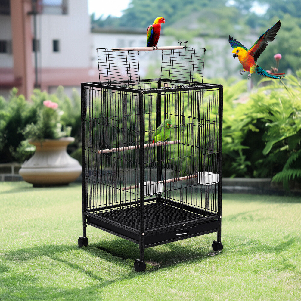 Square Bird Cages With Plants