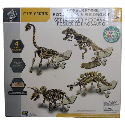 Club Genius: Dinosaur Fossil Excavation and Building Kit FF253 4 Pack ...