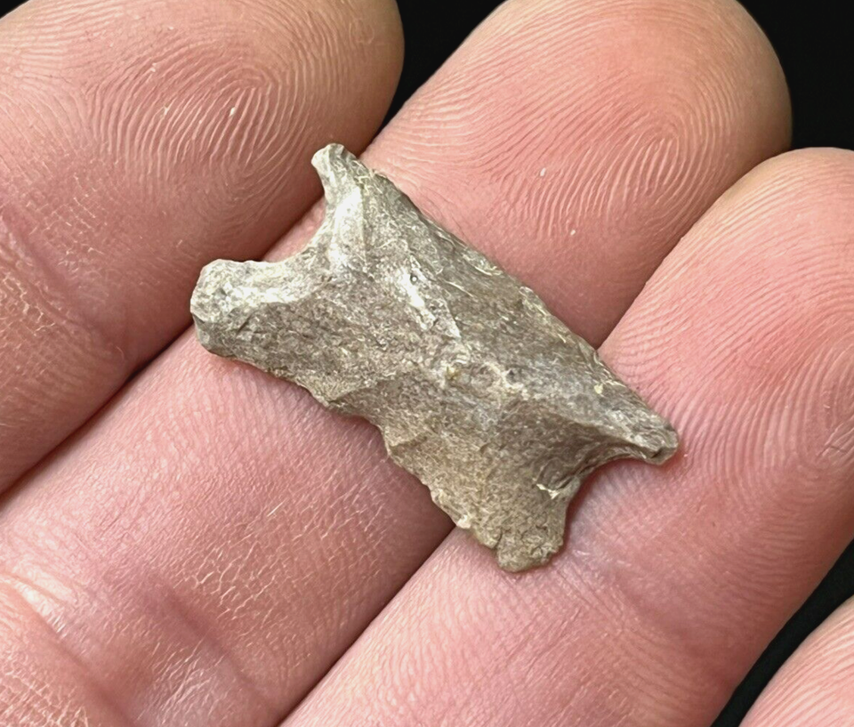 UNIQUE HAFTED SCRAPER POINT OHIO ARROWHEAD AUTHENTIC INDIAN ARTIFACT ...