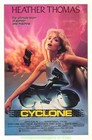 CYCLONE MOVIE POSTER 27x41 Rolled N.Mint HEATHER THOMAS 1987 | eBay