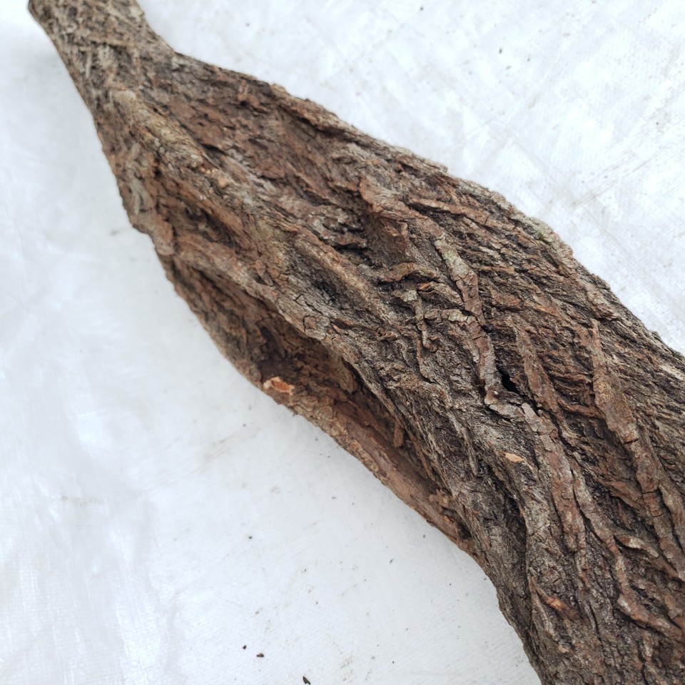 Diamond Willow Carving Wood Blank 32" Special Project Log Great Piece ...