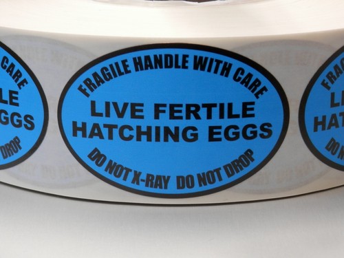 250 stickers, LIVE FERTILE HATCH. EGGS Handle/Care, 2x3 oval labels ...