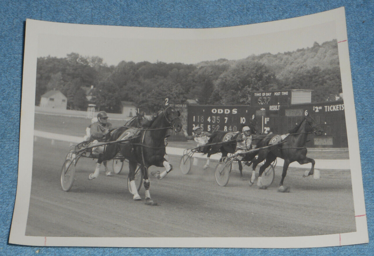 Ca. 1971 Harness Racing Photo Horse "Flash" Elbridge T Gerry Jr Goshen ...