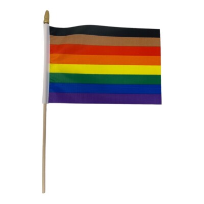 People of Color Gay Pride Mini Stick Flag LGBT LGBTQ+ Small Hand Held ...