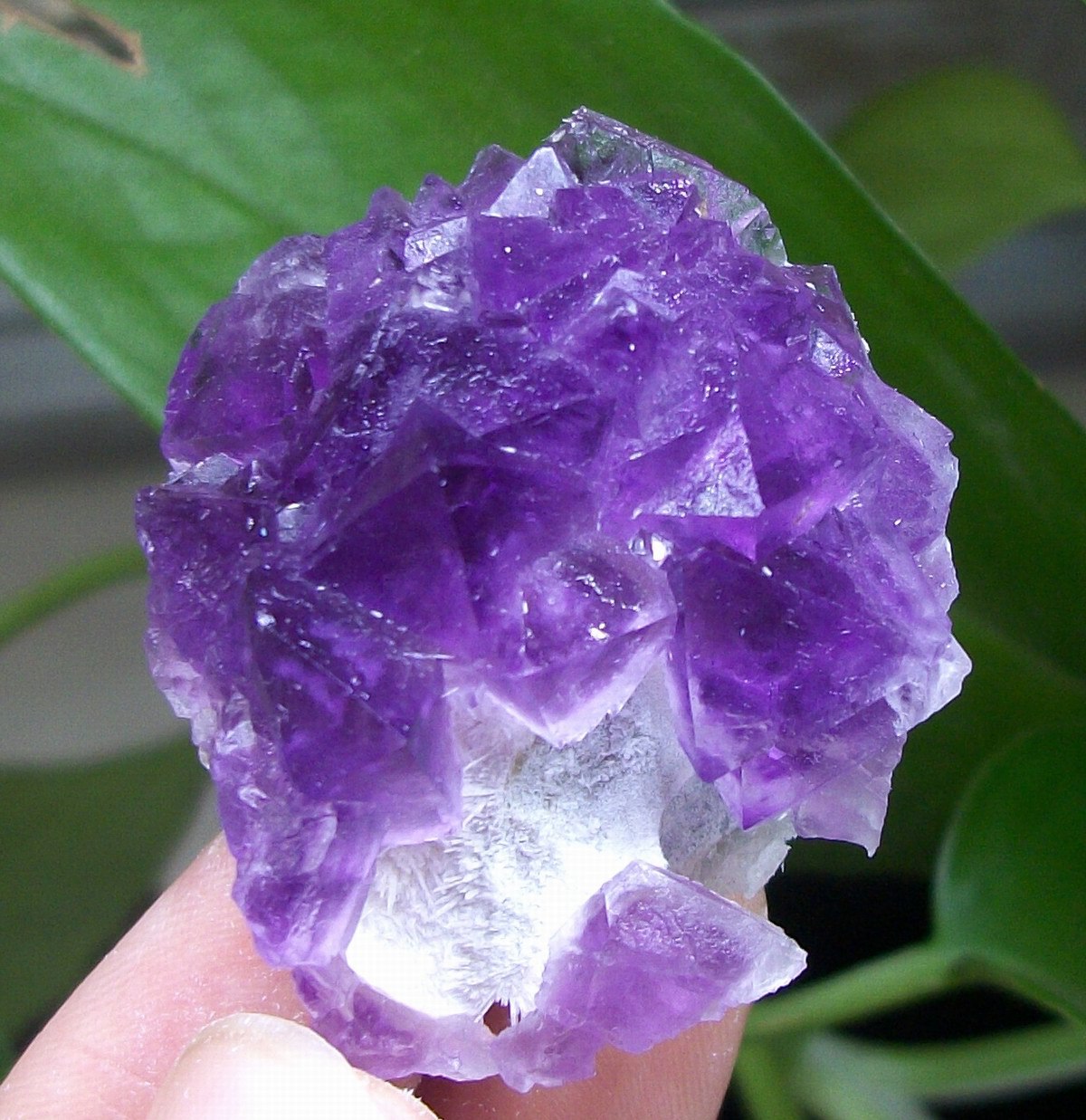 37mm Purple phantom Fluorite cluster octahedron crystal specimen China ...