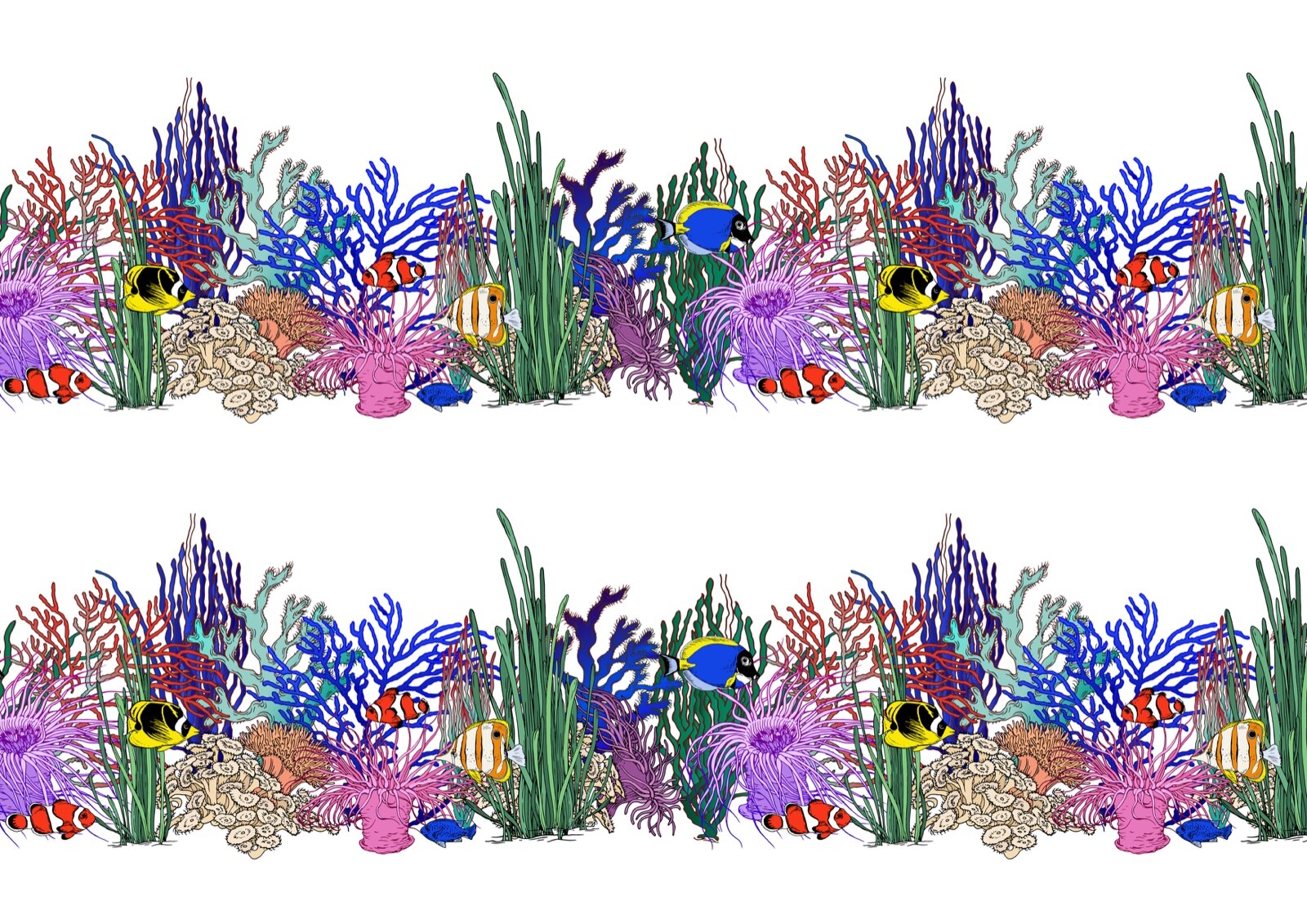 A4 Edible Decor Icing Sheet Coral Reef with Tropical Fish Ribbon BORDER ...
