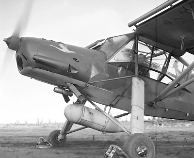 WW2 WWII Photo World War Two / German Luftwaffe Fiesler Storch Airplane ...