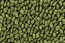 57-60 Ford F-100 Truck Original Loop Molded Carpet Kit *Made in USA* | eBay