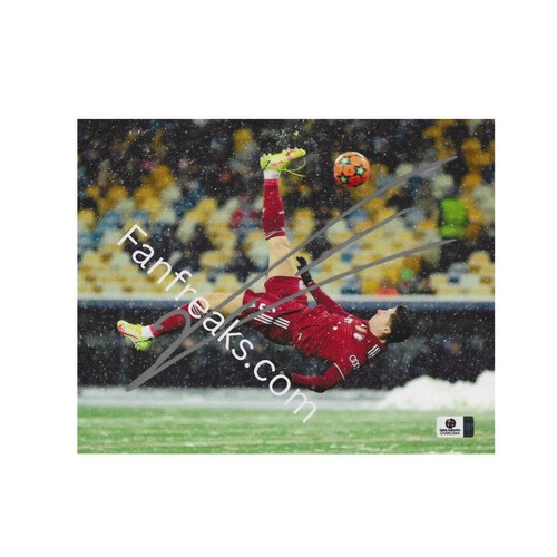 Robert Lewandowski FC Bayern Munich Autographed 8x10 Photo Reprint | eBay