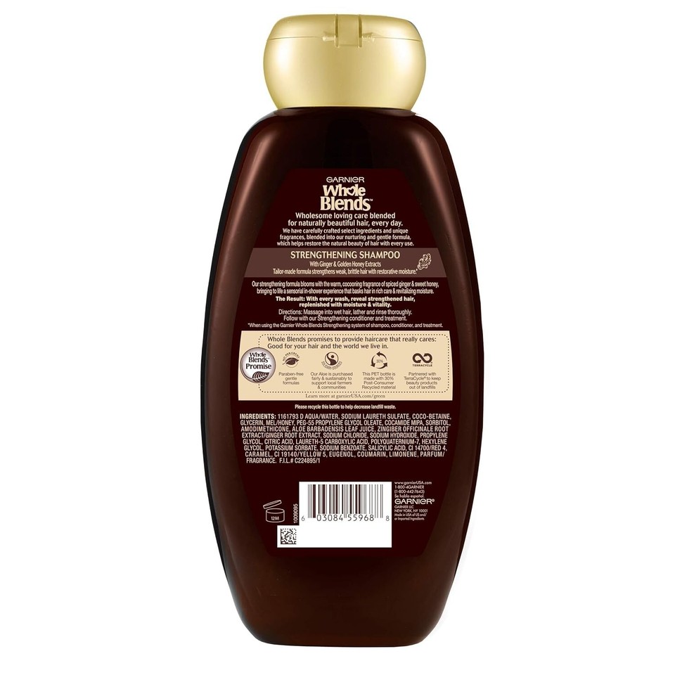 Garnier Whole Blends Ginger Recovery Strengthening Shampoo 22 oz | eBay