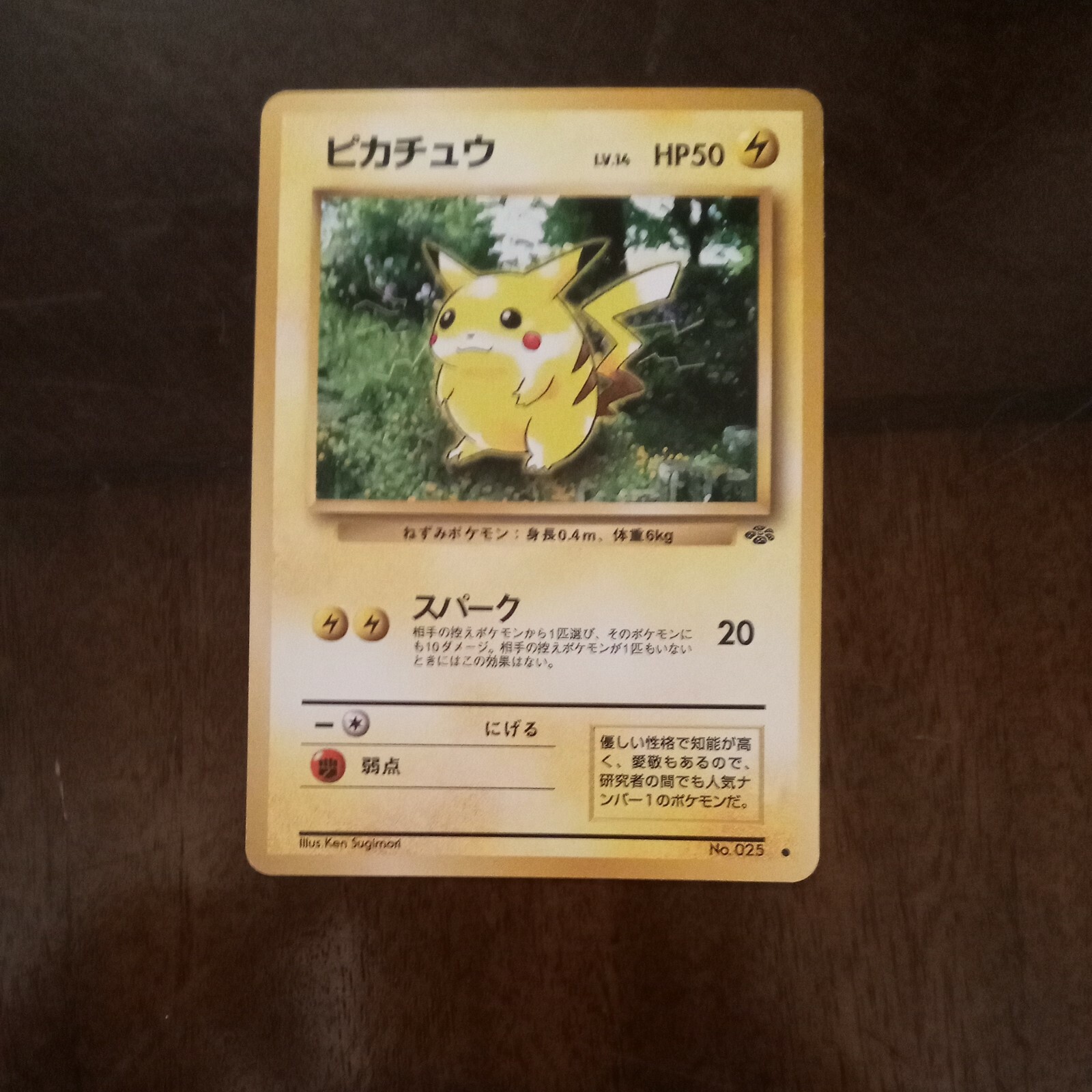 Jungle Set Japanese Pickachu | eBay