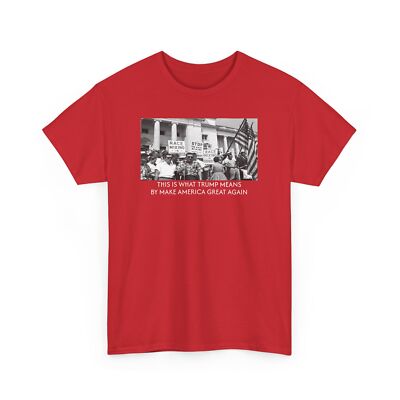 Protest Integration Unisex Tee, Civil Rights Movement Shirt, Little ...