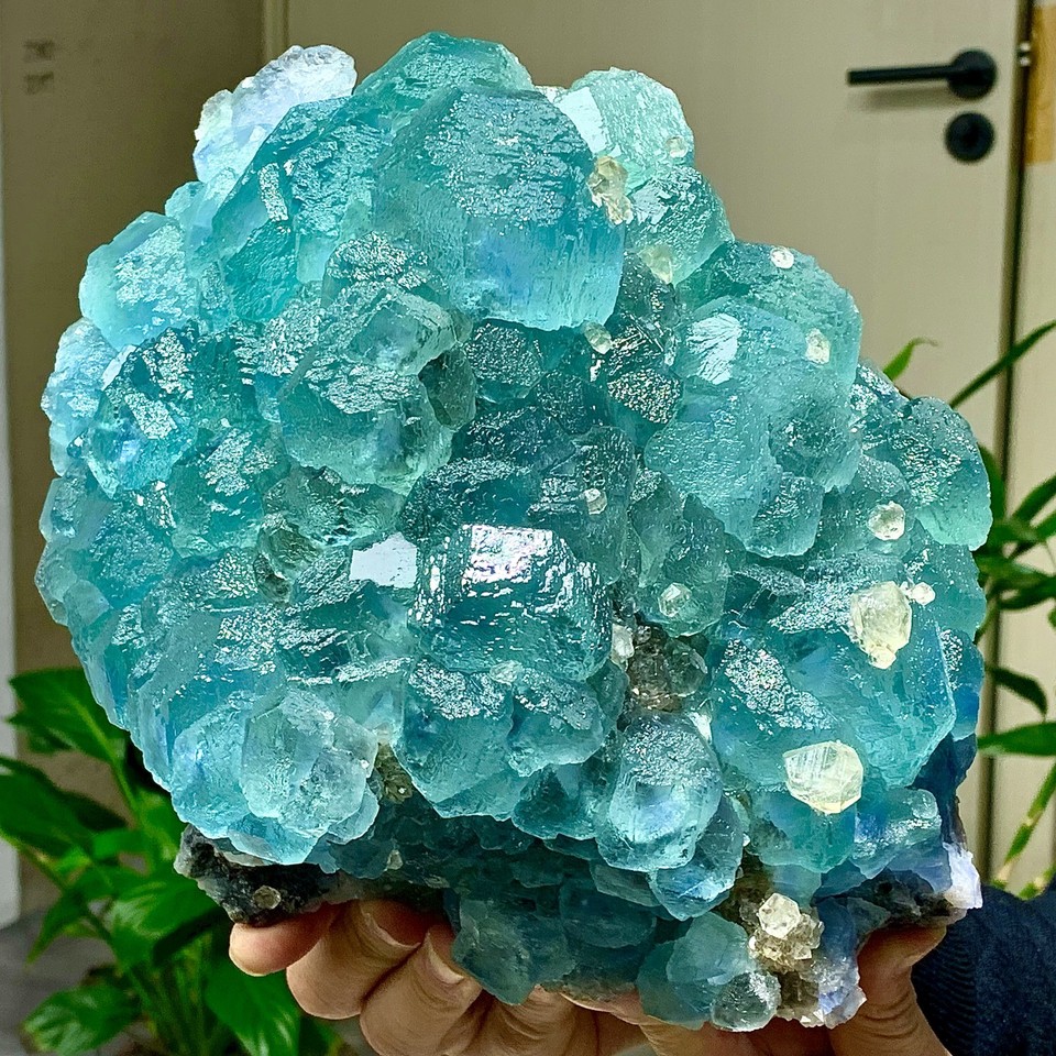 12.5LB Rare transparent blue green cubic fluorite mineral crystal ...