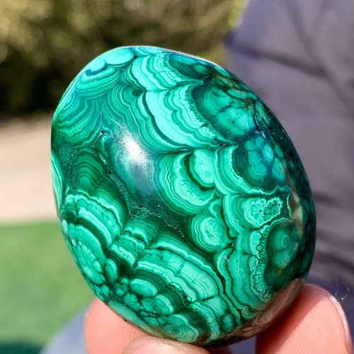 131G Natural glossy Malachite egg transparent cluster crystal mineral ...