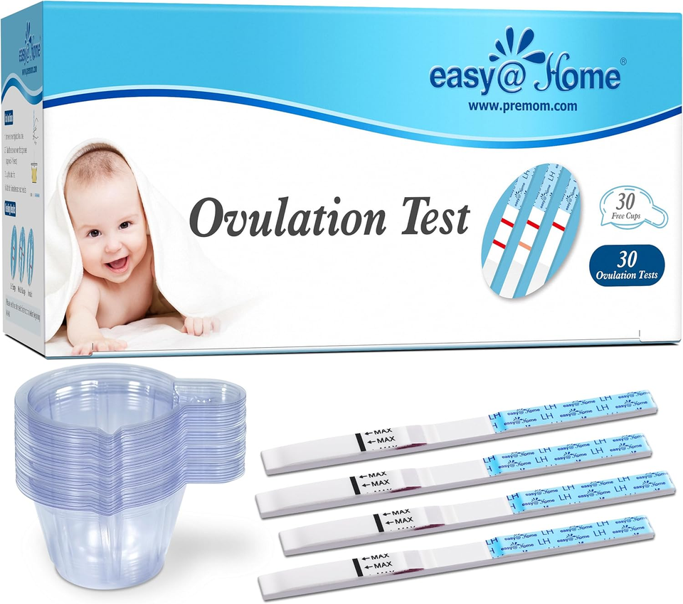 Ovulation Test Strips: Accurate 30 LH Ovulation Predictor Kit ...